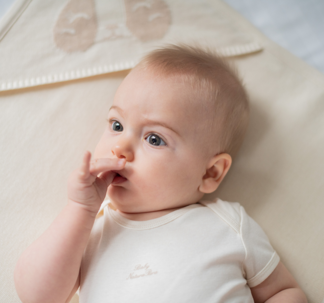 Envelope Collar Basic Bodysuit - 100% Organic Bodysuits - NaturaPura